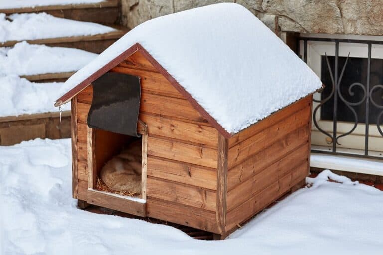 9 Ways To Heat a Dog House Without Electricity + Tips For Winter