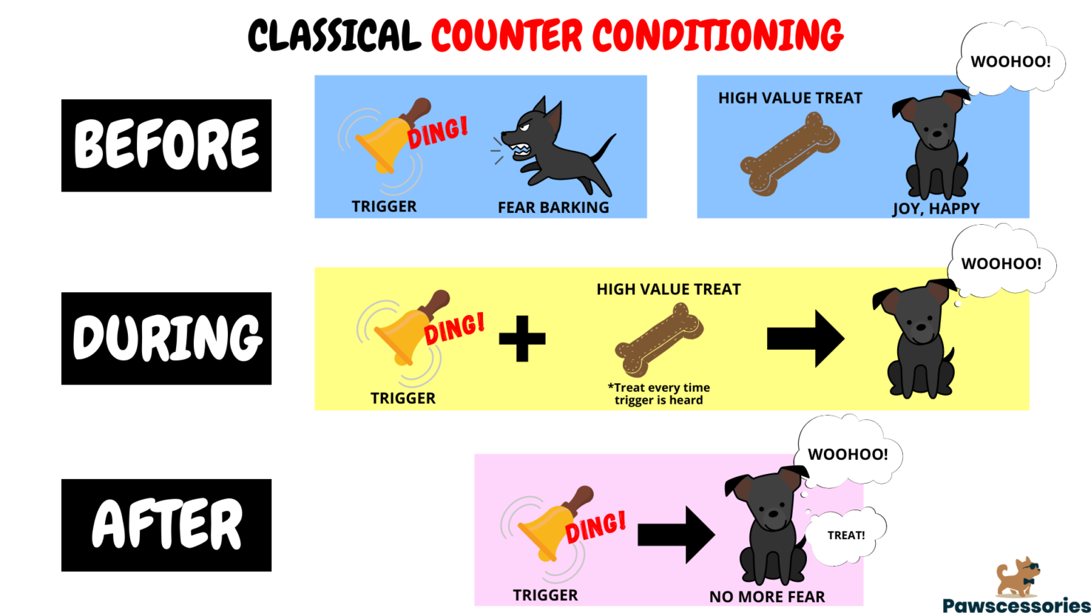 Reactive Dog Training 101: How To Calm Your Reactive Dog