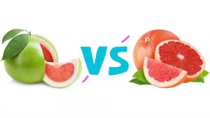 Can Dogs Eat Pomelo? Risk & Benefits (We Asked A Vet)