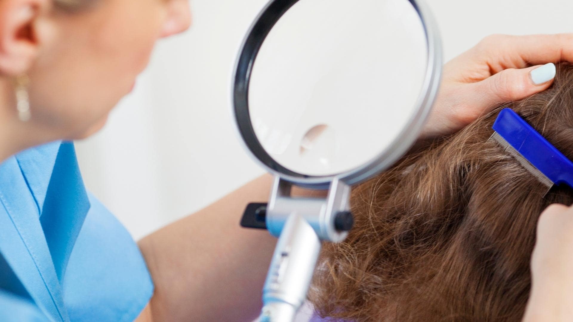 What Are These Tiny Black Bugs On My Dog? (8 Possible Bugs)