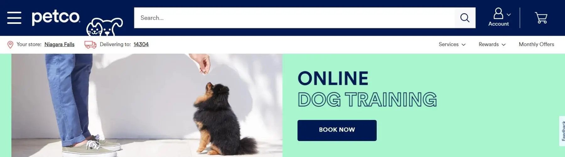 Top 9 Best Online Dog Training Courses [2022 Update]