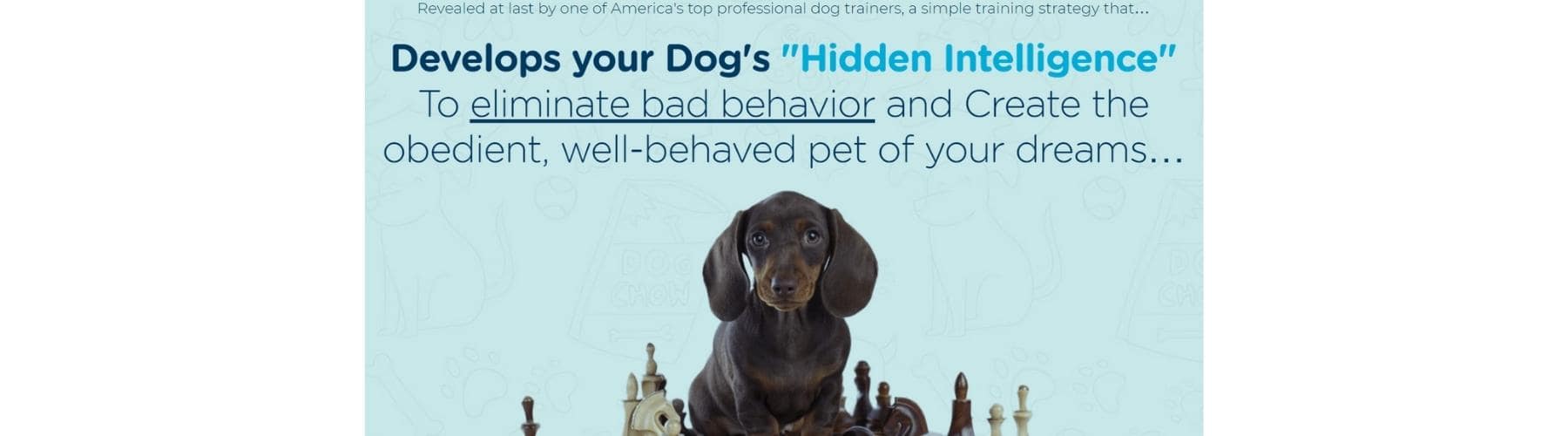 Top 9 Best Online Dog Training Courses [2022 Update]