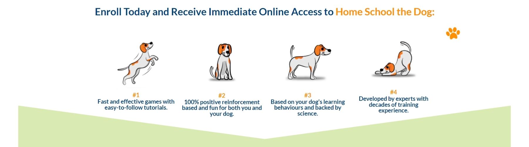 Top 9 Best Online Dog Training Courses [2022 Update]